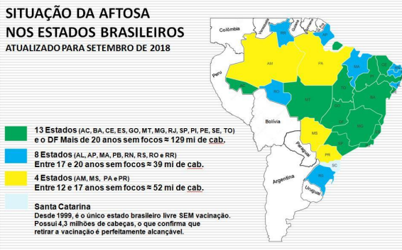 Febre aftosa: por que a retirada criteriosa da vacina será benéfica ao ...